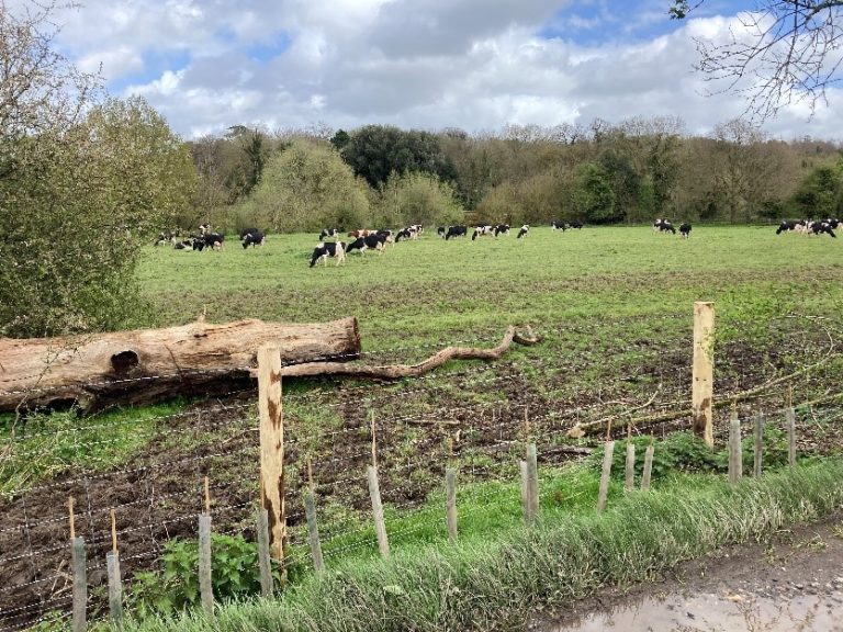 Farming in the Surrey Hills: Feeding the Future and Nurturing Nature ...