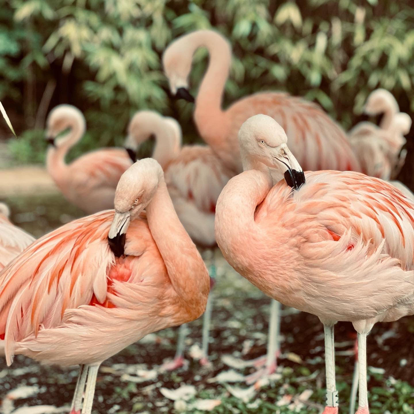 Birdworld launches two new immersive experiences - VantagePoint Magazine