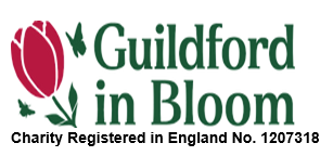 Every entry makes Guildford bloom - VantagePoint Magazine